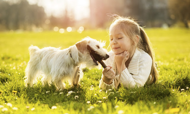 Mama Said - Lukas Graham :: Việt Anh Song Ngữ - Website học tiếng anh ...